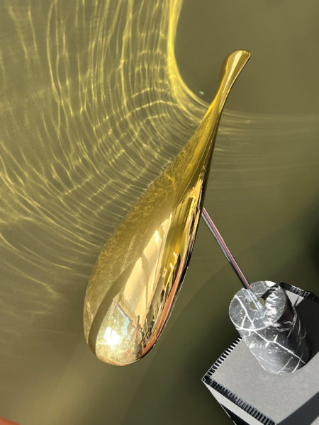 Flying Fish - Doré - Softicated